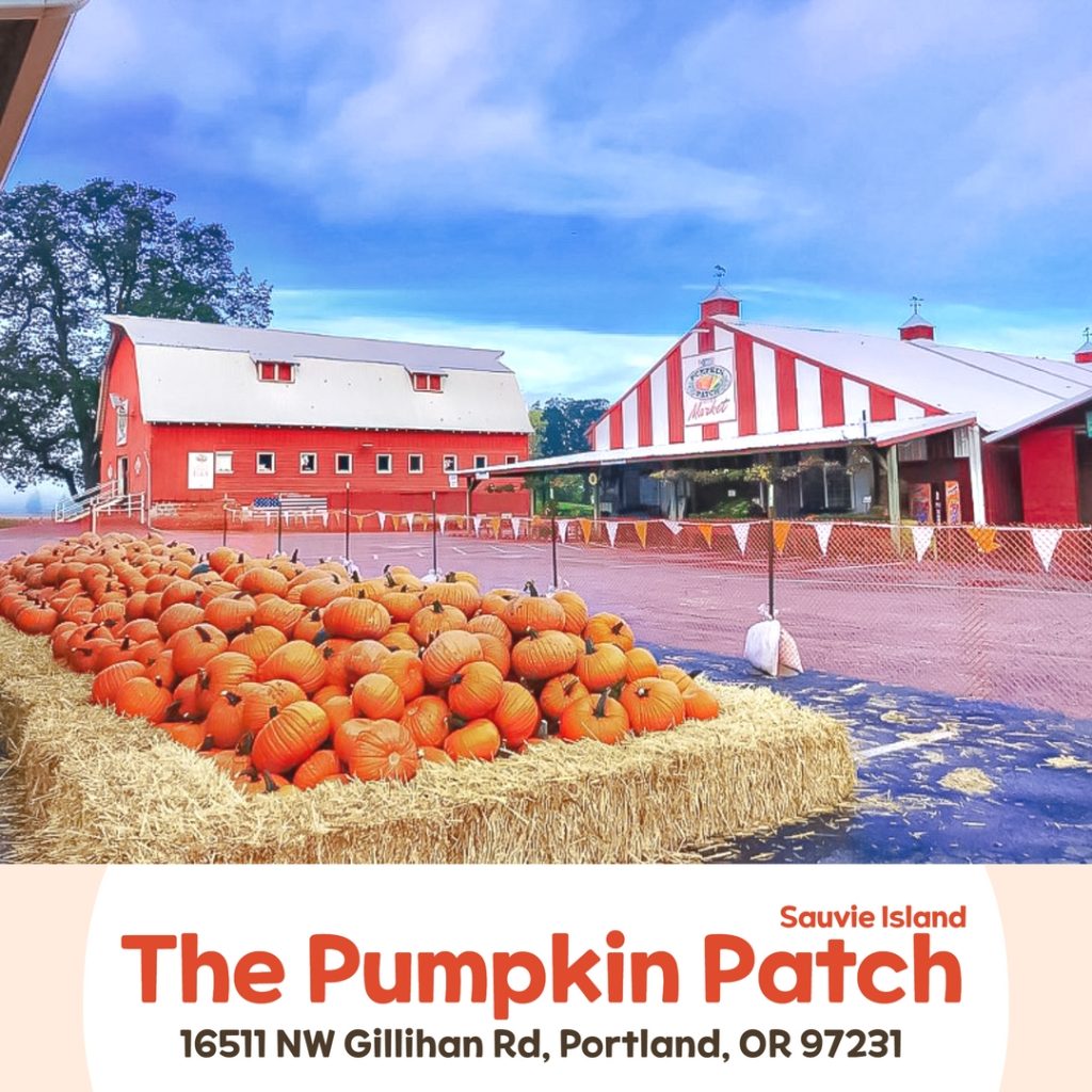 🐮The Pumpkin Patch Sauvie Island - Oregon Korean Community Website